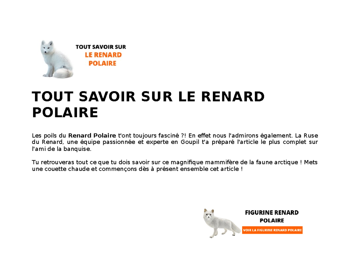 TOUT Savoir SUR LE Renard Polaire - TOUT SAVOIR SUR LE RENARD POLAIRE ...