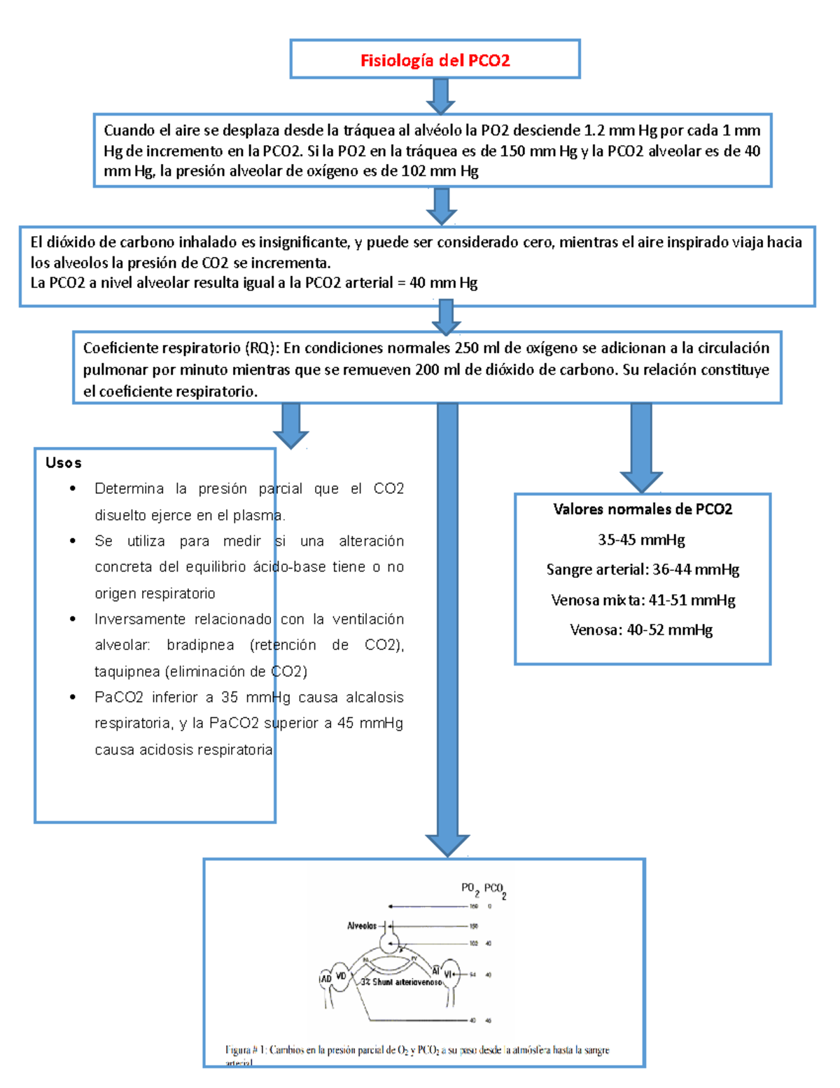 Fisiologia del Pco2 - Aspectos destacados - Valores normales de PCO 35 ...