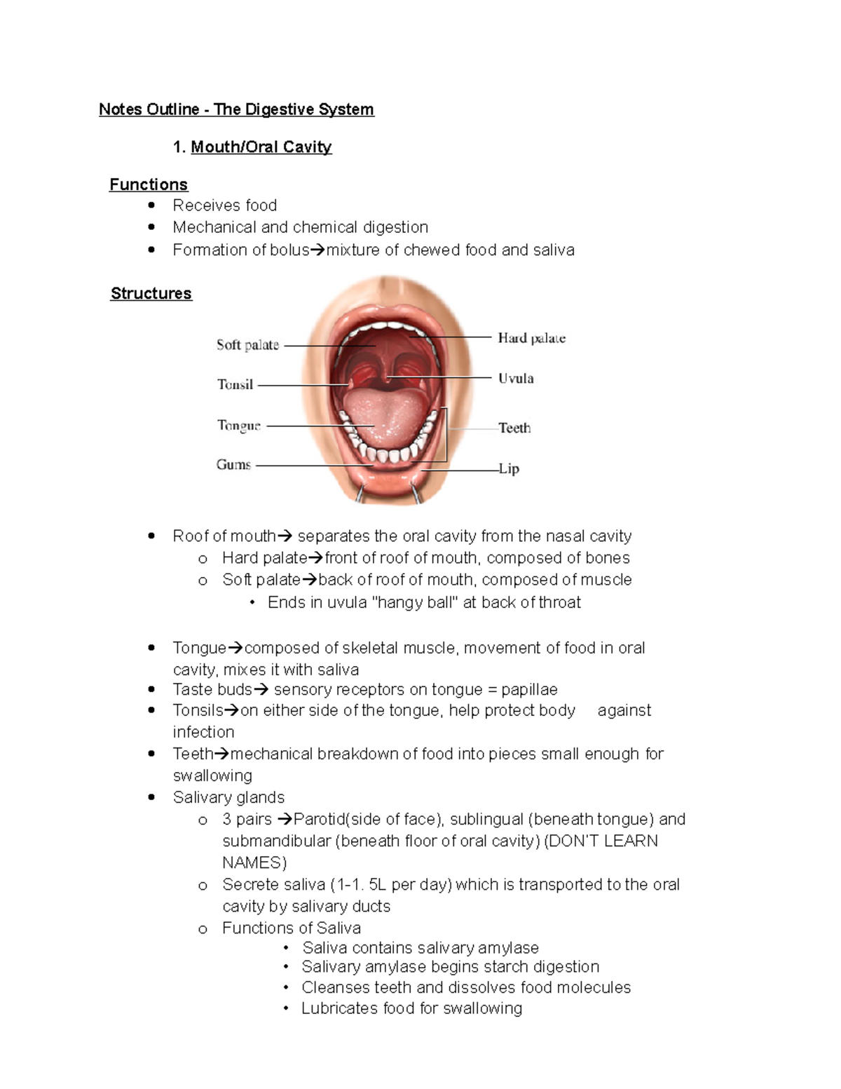 notes - digestion - Notes Outline - The Digestive System 1. Mouth/Oral ...