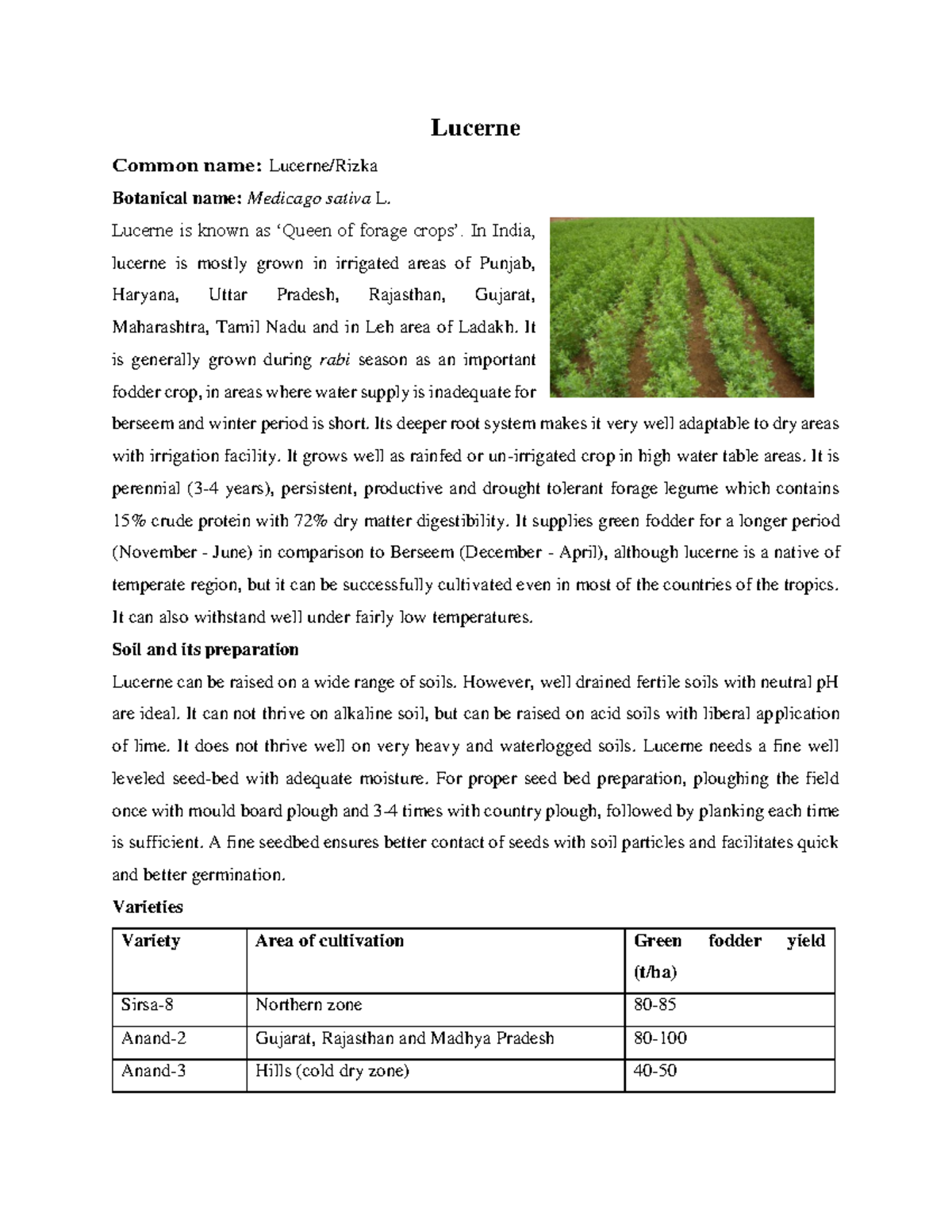 Leucerne - Lucerne Common name: Lucerne/Rizka Botanical name: Medicago ...