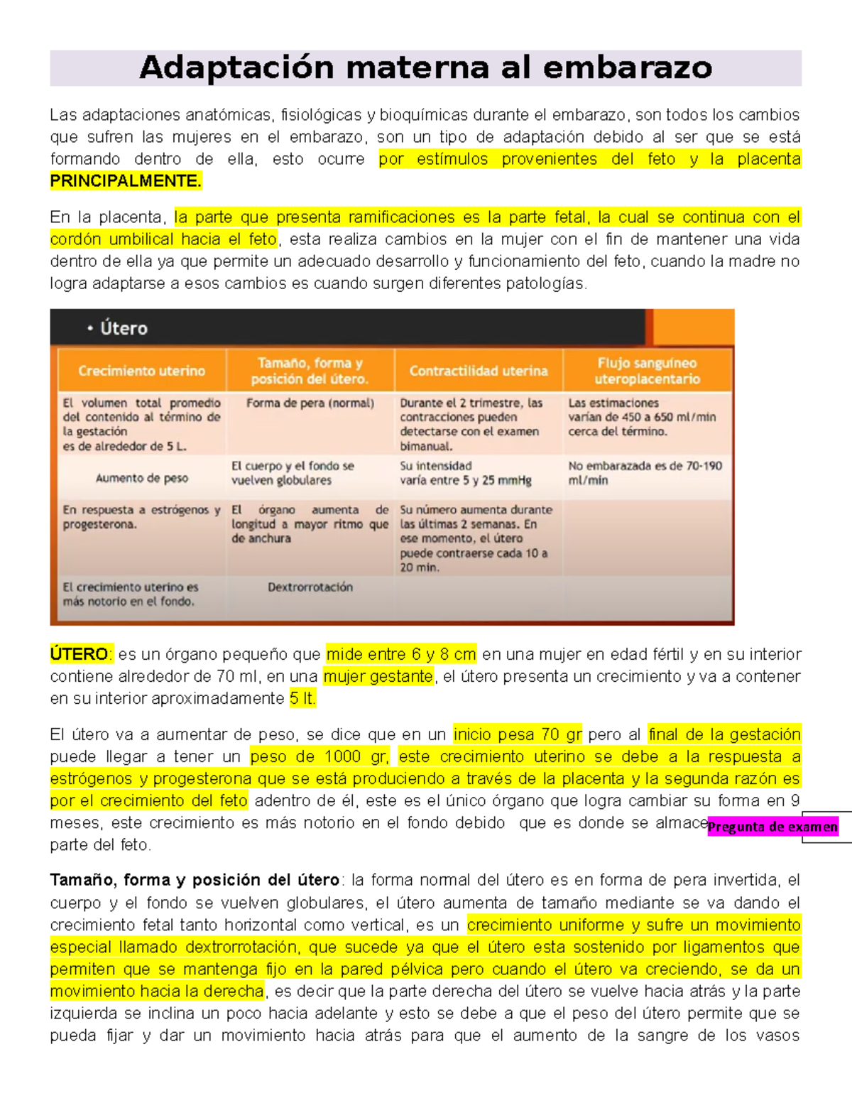 Adaptación Materna AL Embarazo - Adaptación materna al embarazo Las ...