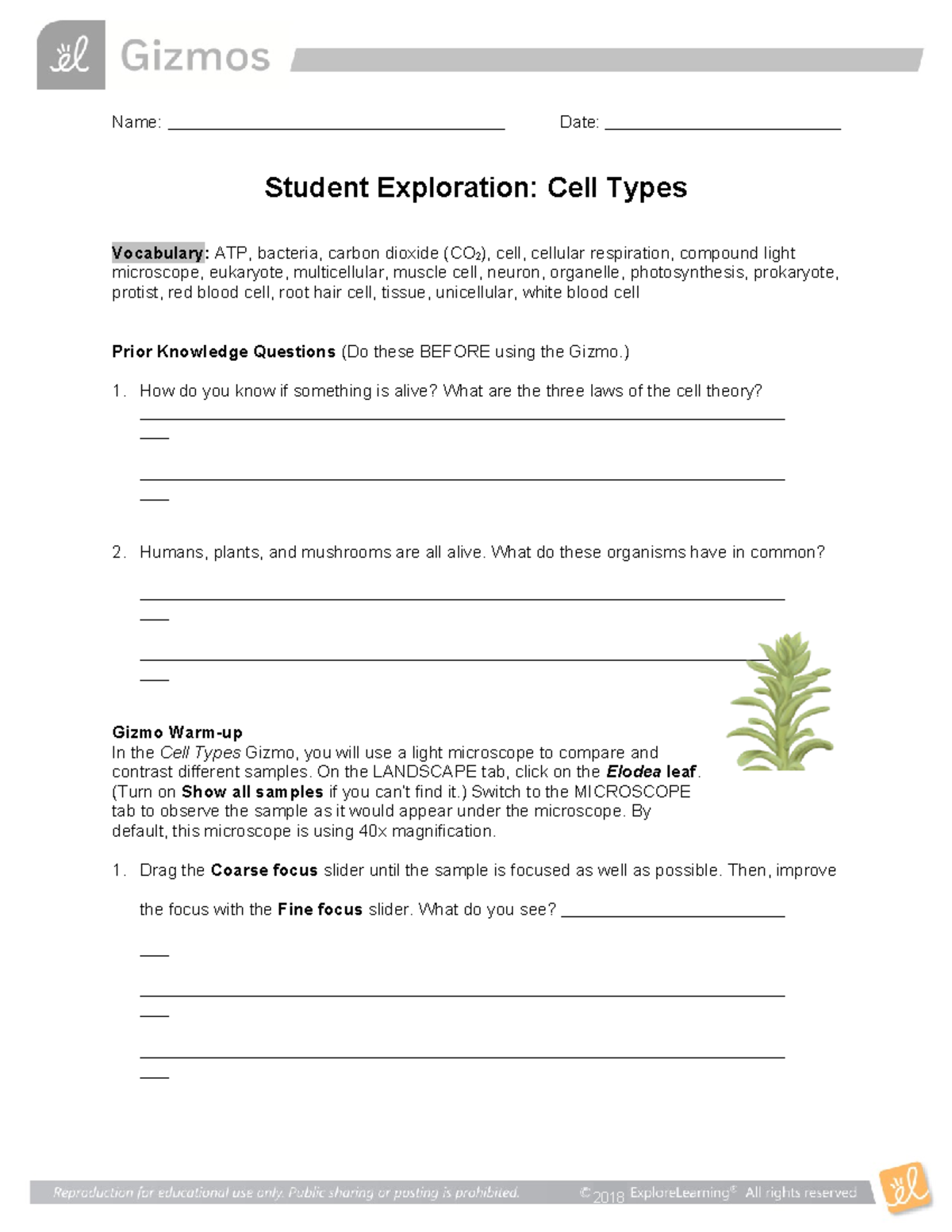 Cell Theory Gizmo - pls - Name: Date: Student Exploration: Cell Types ...
