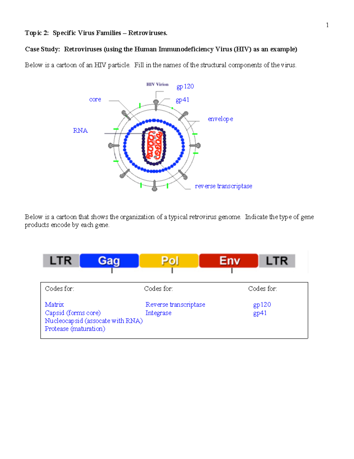 Answers - HIV worksheet - Topic 2: Specific Virus Families ...