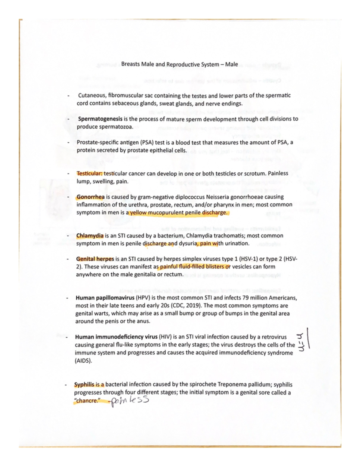Male reproductive - study review - Breasts Male and Reproductive System ...