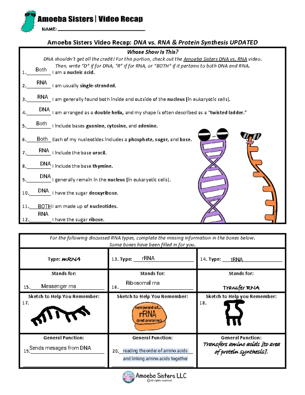 Aidan Mc Laughlin - dna vs rna and protein synthesis updated recap by ...