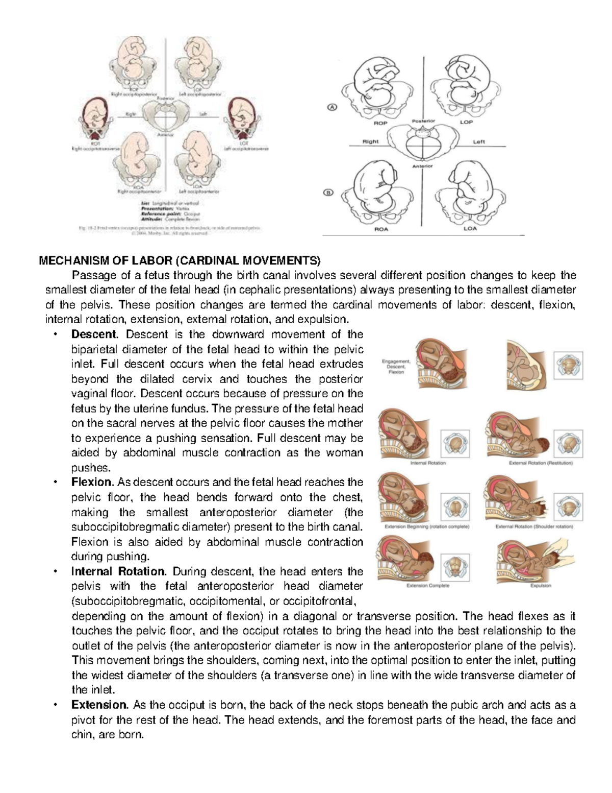 Mechanism OF Labor - MECHANISM OF LABOR (CARDINAL MOVEMENTS) Passage of ...