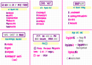 DILG Template - 1.1 Availability of Templates for LCE directives FORM 1 ...