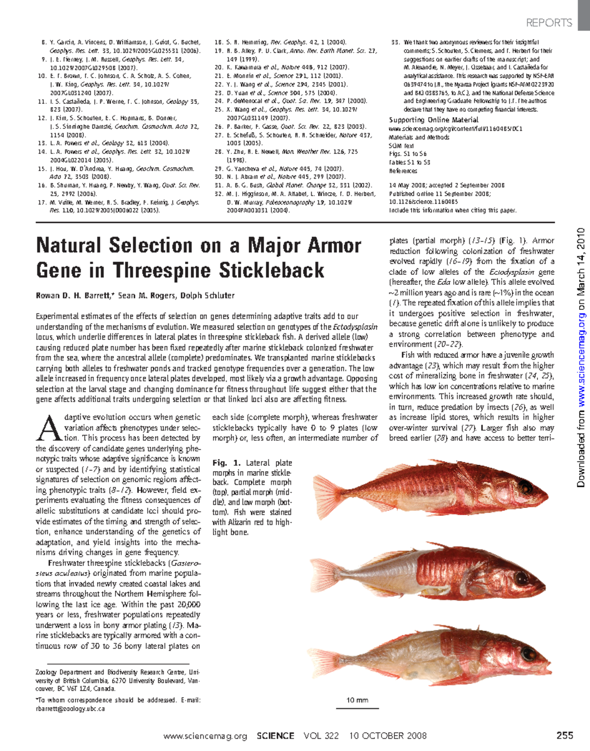 Stickleback Armor Evolution Science 2008 - Y. Garcin, A. Vincens, D ...