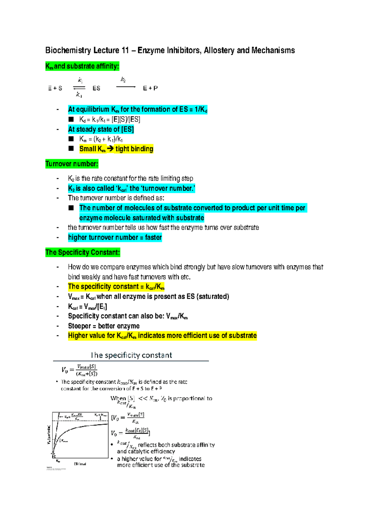 Biochemistry Lecture 11 - ’ The turnover number is defined as: The ...