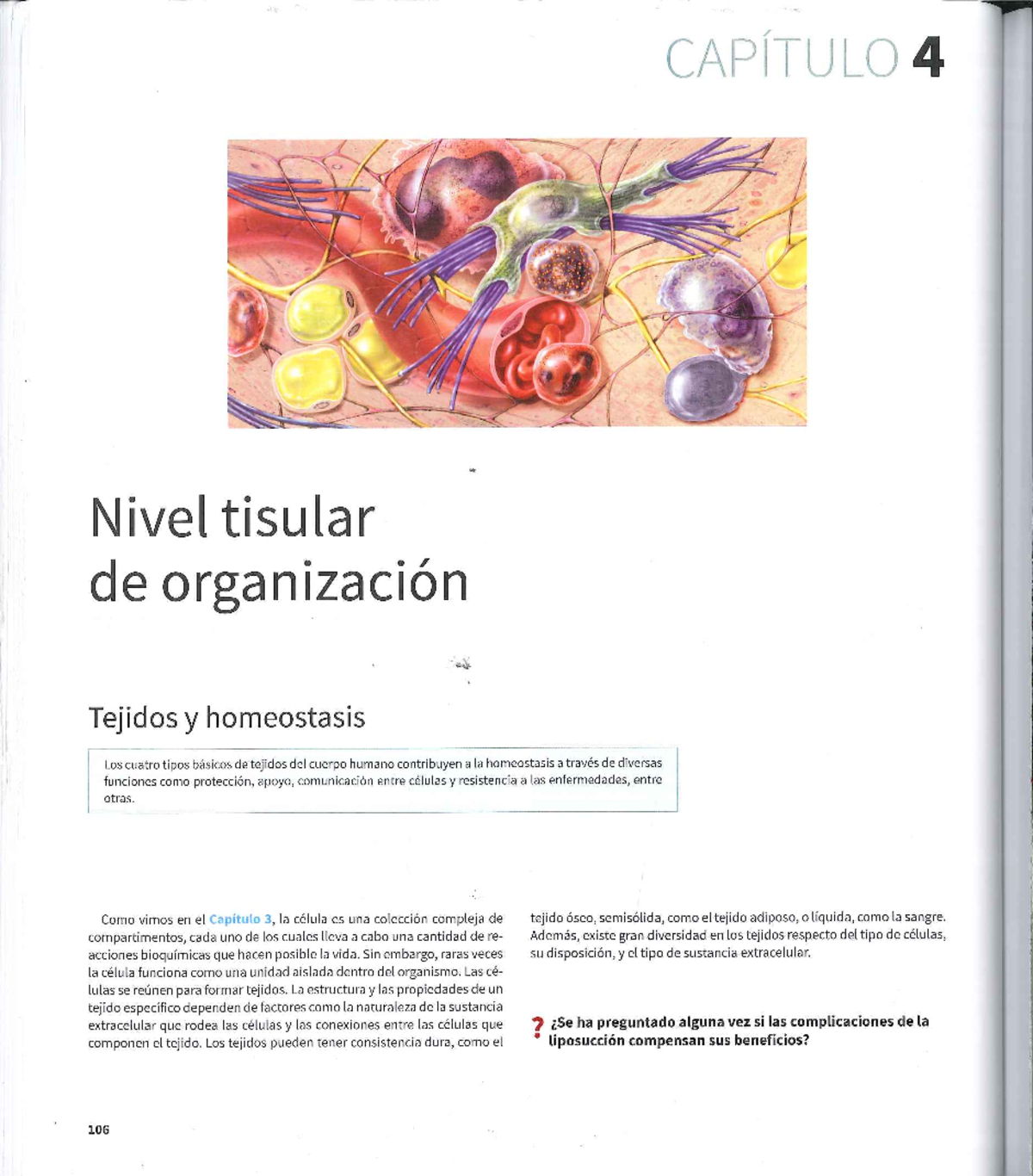 4. nivel tisular de organizacion - Anatomía humana - Studocu