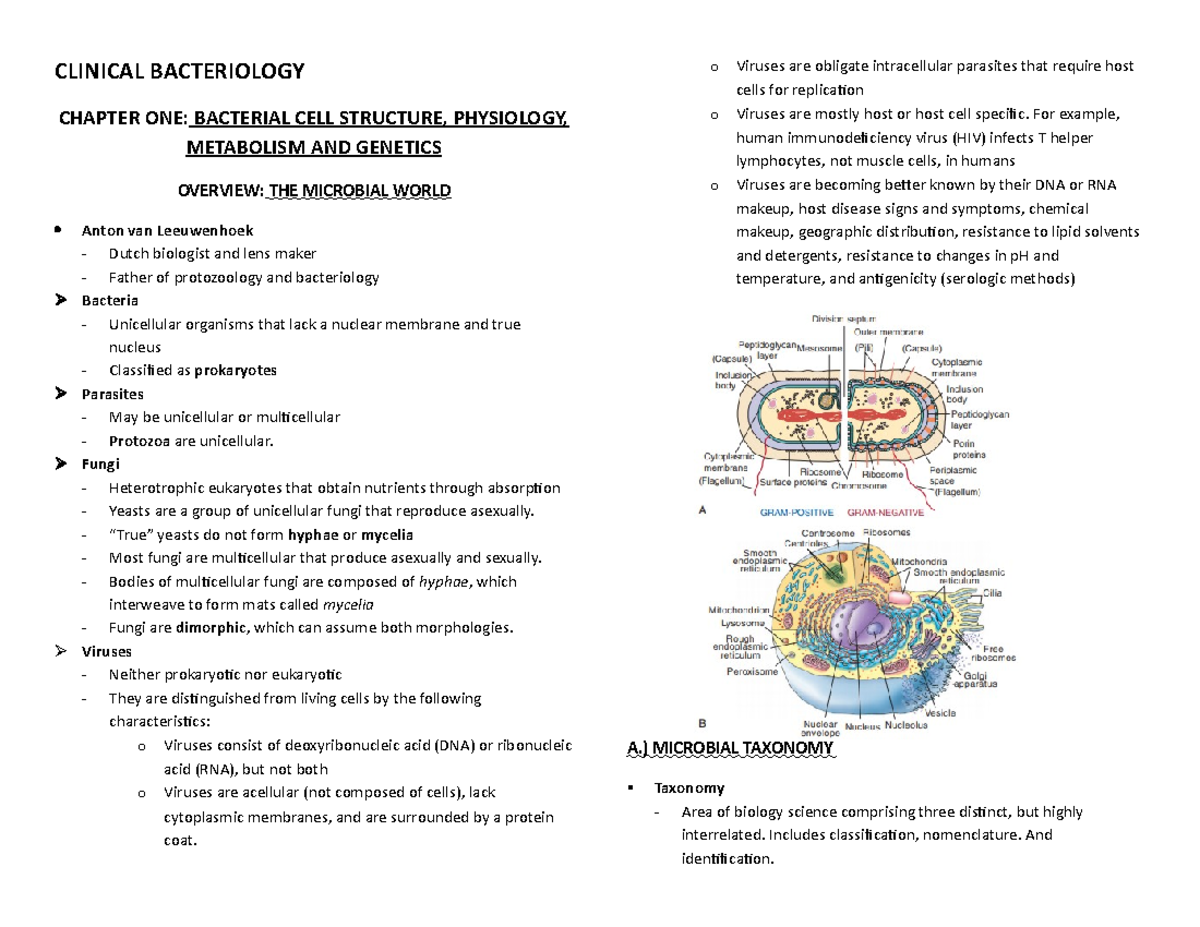 Clinical Bacteriology - CLINICAL BACTERIOLOGY CHAPTER ONE: BACTERIAL ...