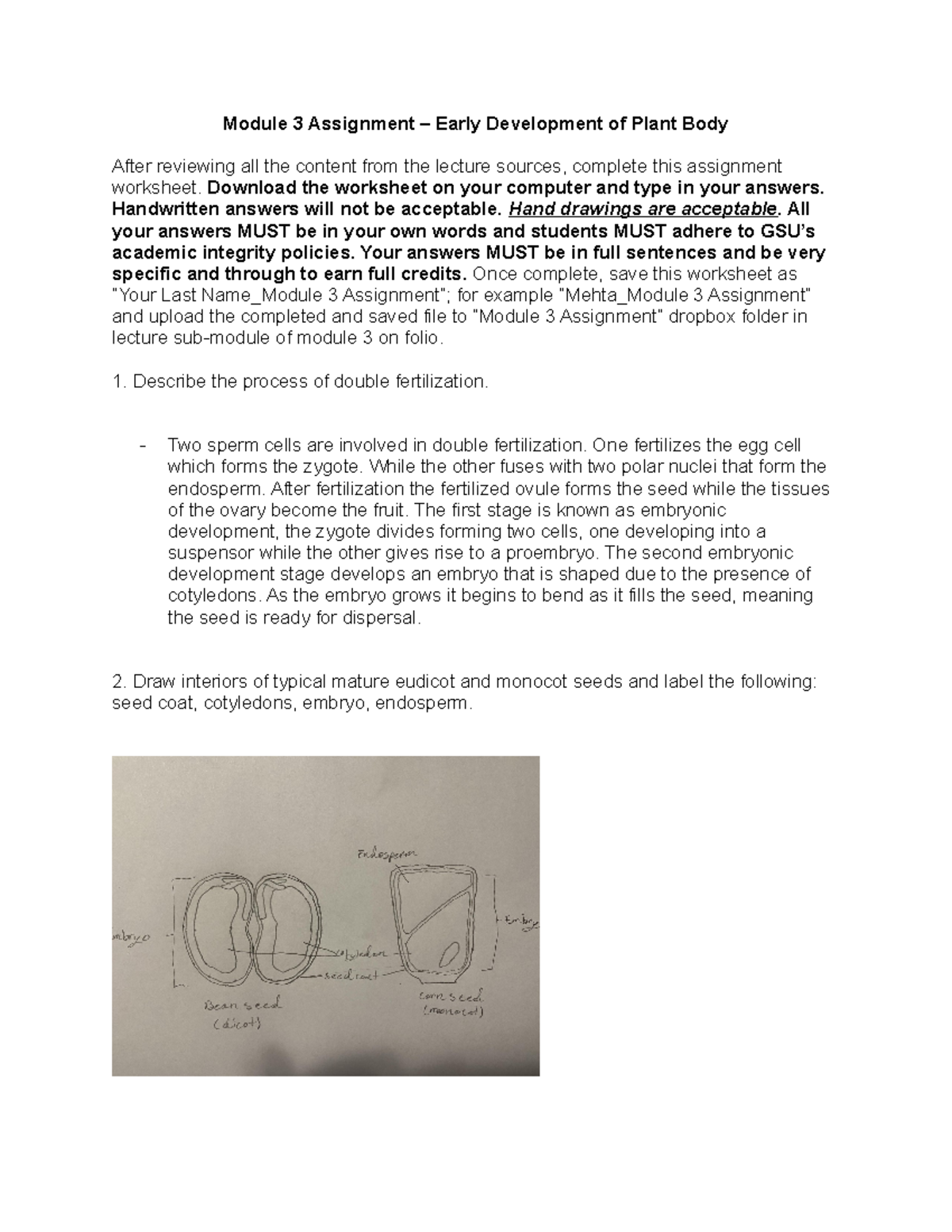Lee Module 3 Assignment Early Development of Plant Body - Module 3 Assignment – Early ...