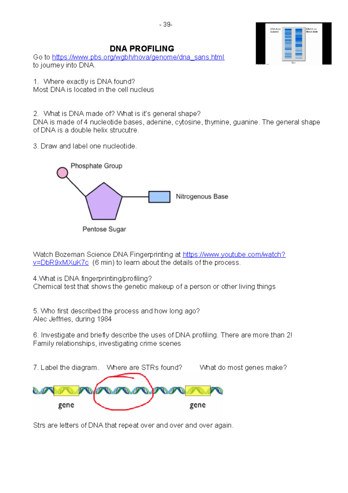 Page 39 & 40(21v2) - Notes - 39- DNA PROFILING Go to pbs/wgbh/nova ...