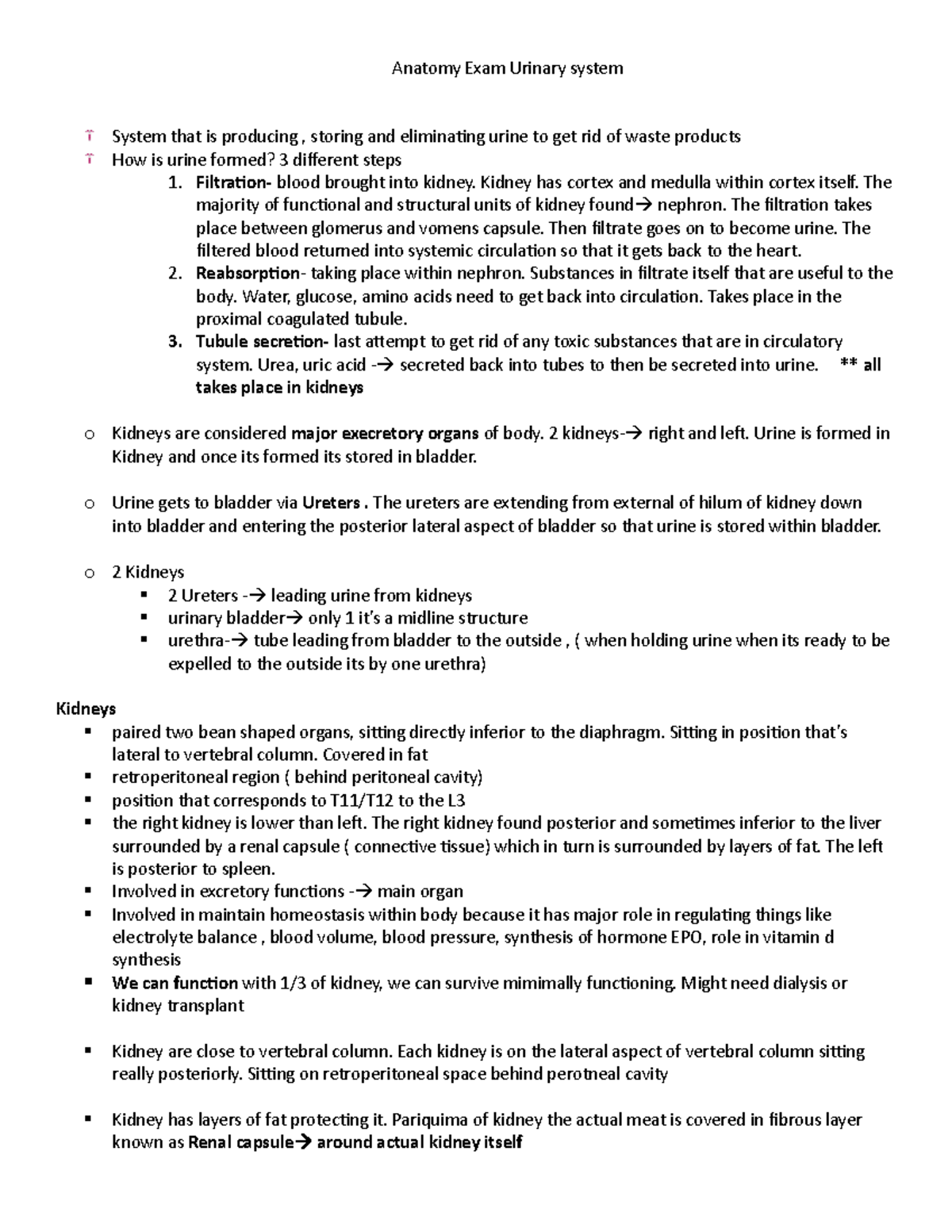 Anatomy Exam Urinary system final - Anatomy Exam Urinary system System ...
