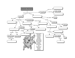 Components of Prokaryotic and Eukaryotic Cells - BIOL 101 - Studocu