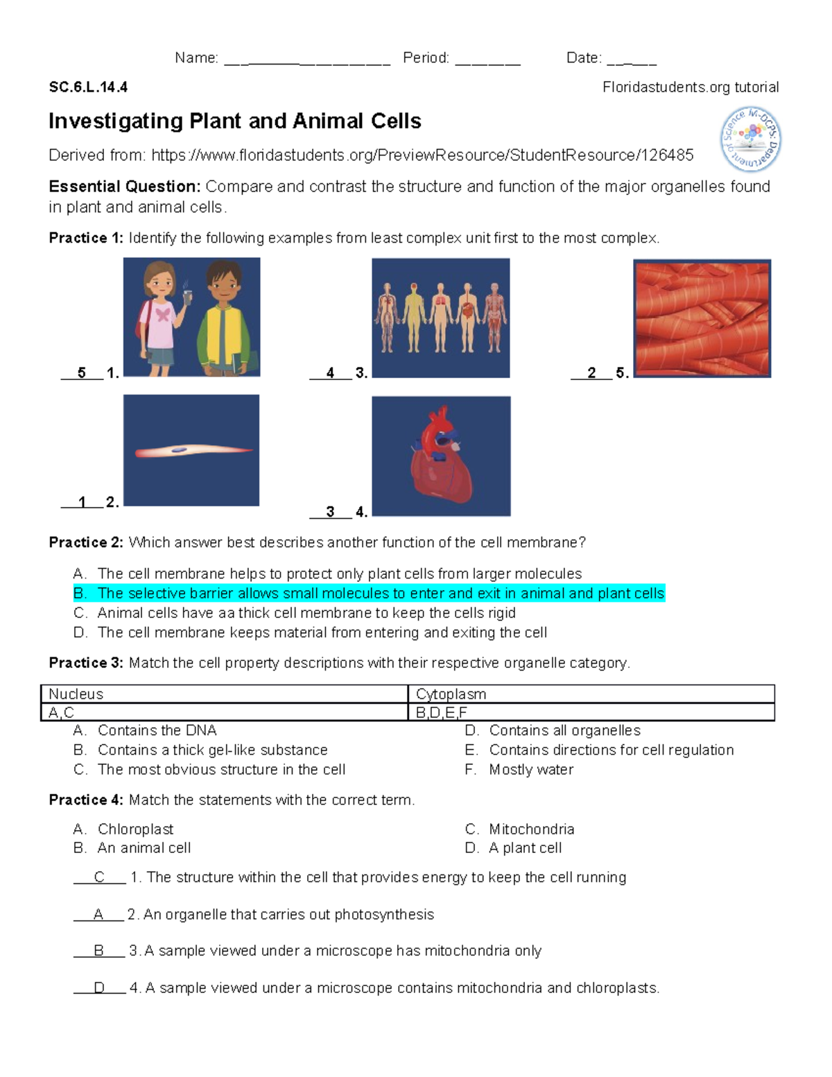Animal cells - Name: ___ ___________ Period: ________ Date: __ ___ SC.6 ...