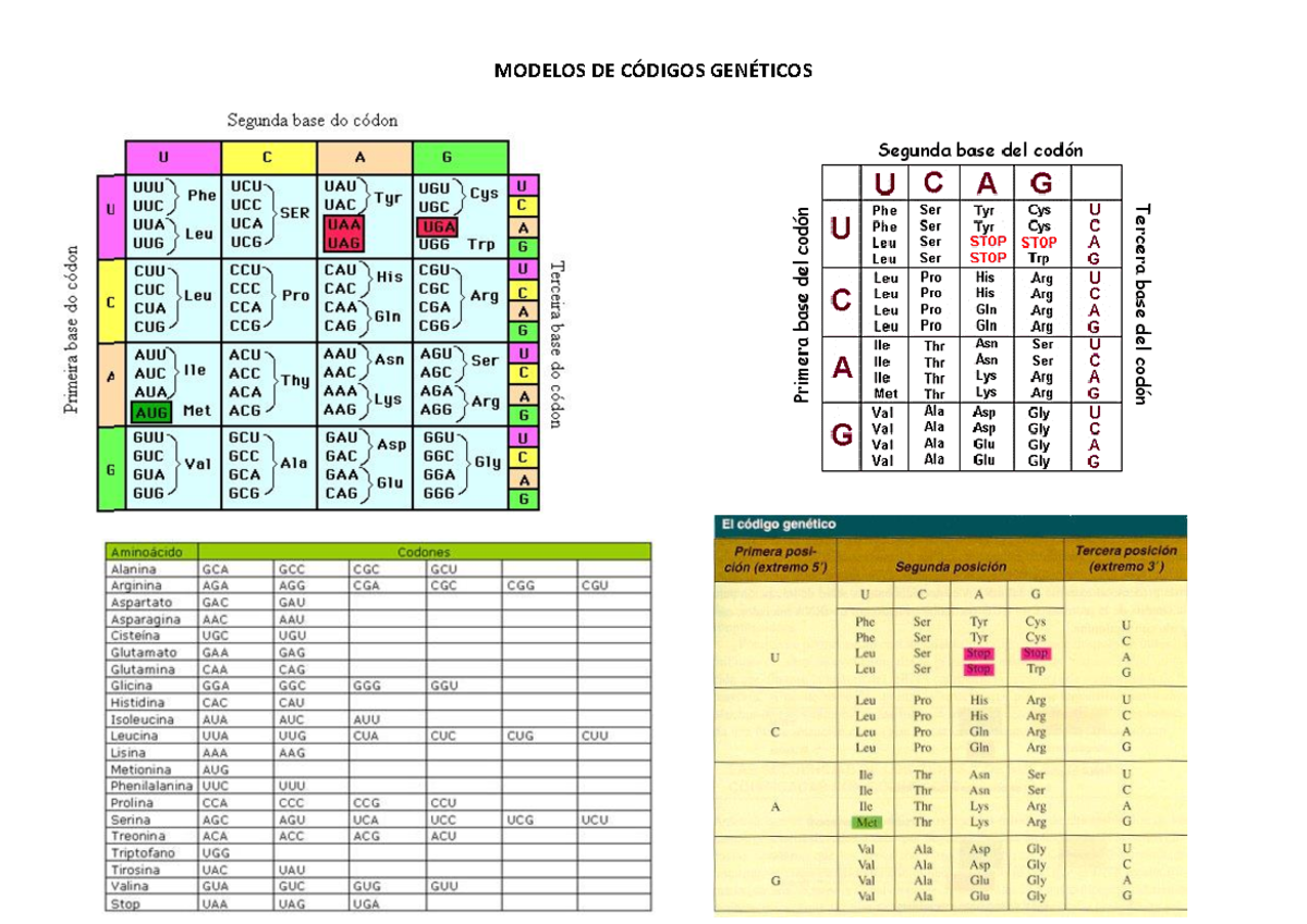 Tablas de modelos de códigos genéticos - MODELOS DE CÓDIGOS GENÉTICOS ...