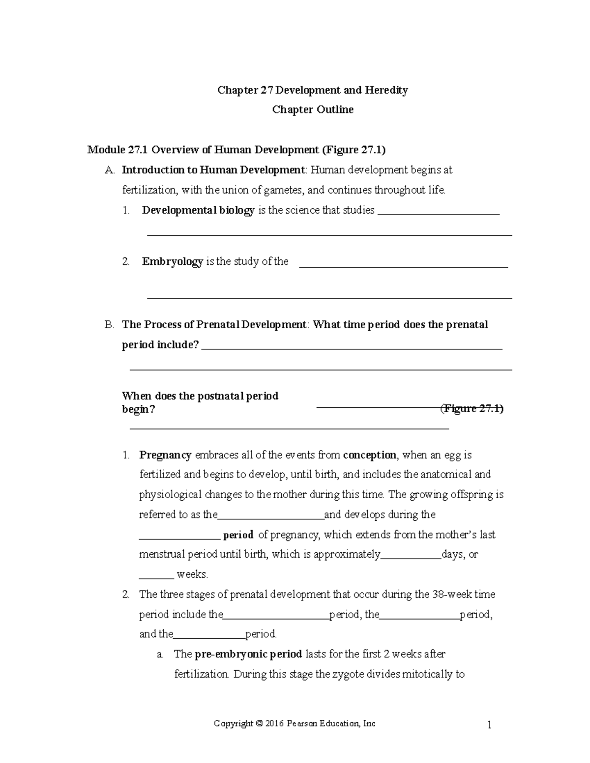 Ch 27 student lecture outline - Chapter 27 Development and Heredity ...