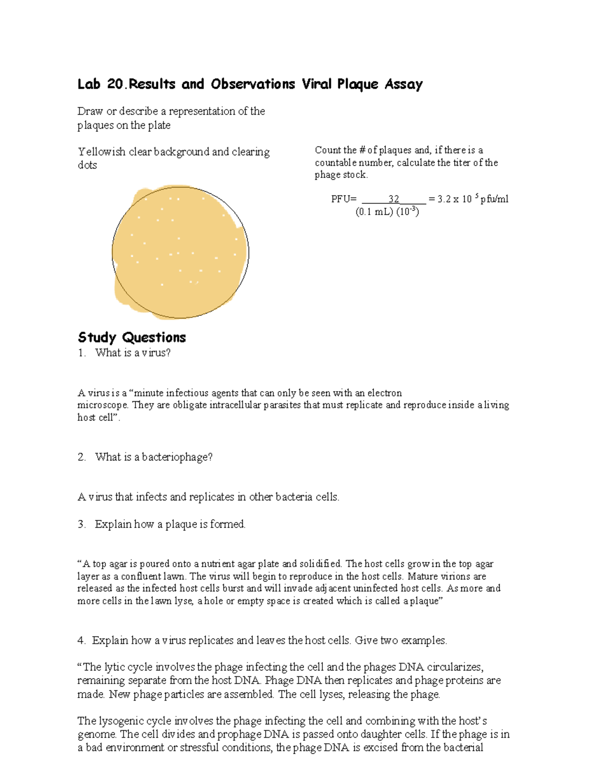 Lab 20 Study Questions Plaque Assay - Lab 20 and Observations Viral ...