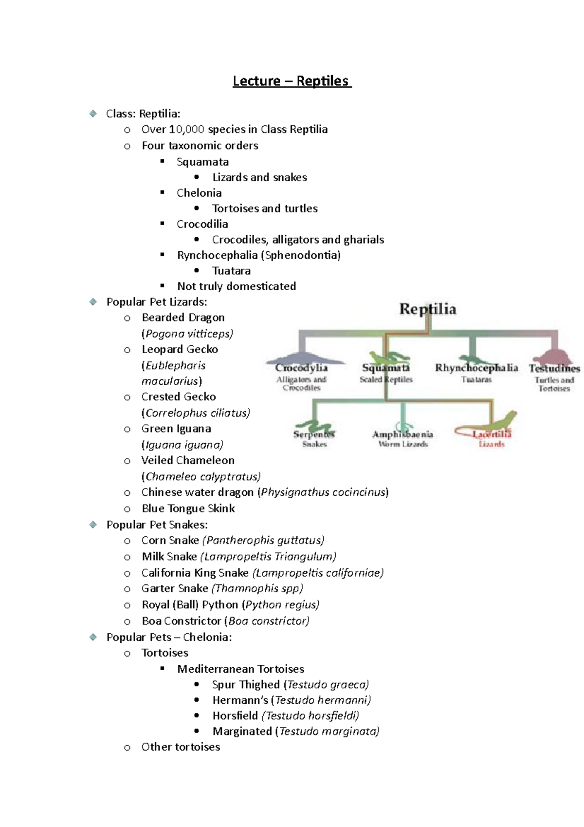 Lecture – Reptiles - Lecture – Reptiles Class: Reptilia: o Over 10,000 ...