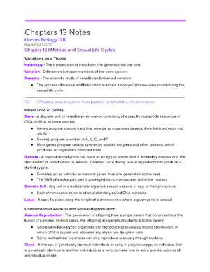 Chapter 16 - The Molecular Basis of Inheritance - Chapters 16 Notes ...