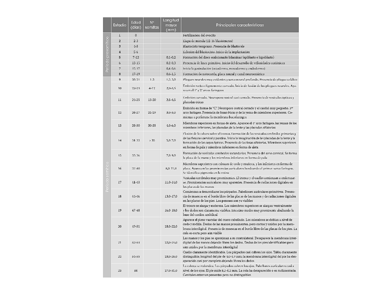 Taller, Desarrollo Embrionario G11 - NOMBRES: CÓDIGOS: 1. - Studocu
