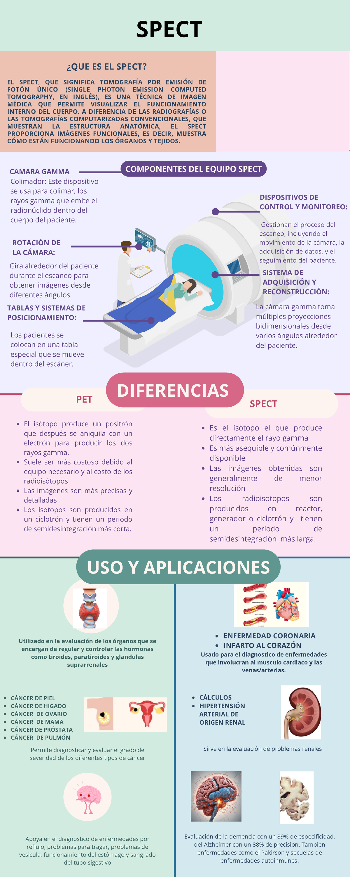 Infografía Spect - practica - PET TABLAS Y SISTEMAS DE POSICIONAMIENTO: CAMARA GAMMA ROTACIÓN DE ...