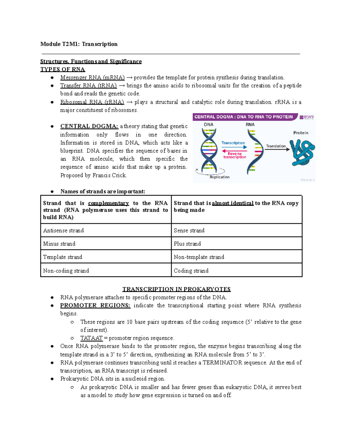 Biology 1A03 T2M1 Notes - Module T2M1: Transcription Structures ...
