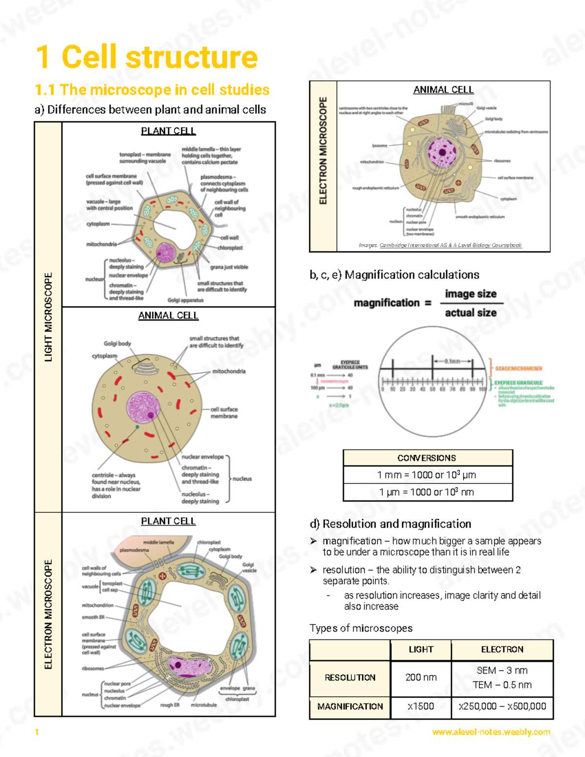 Cell Structure - Cell Biology - 1 Cell structure 1 The microscope in ...