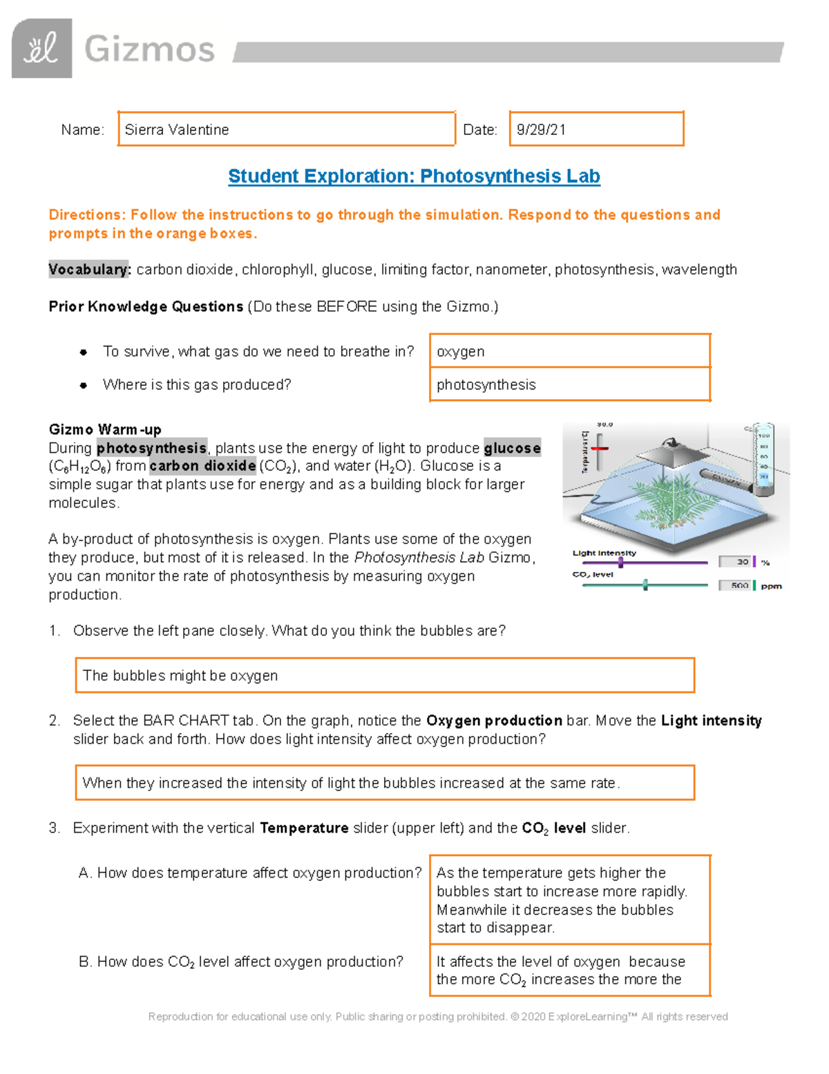 Copy of Photosynthesis Lab SE - Name: Sierra Valentine Date: 9/29 ...