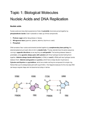The Hill Reaction - A walkthrough of the experiment with any working ...