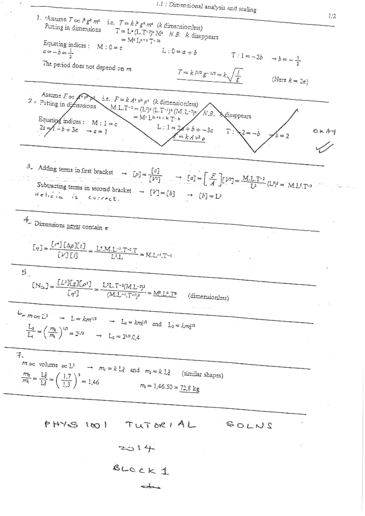Dimensions and Scaling - PHYS1001 - Studocu
