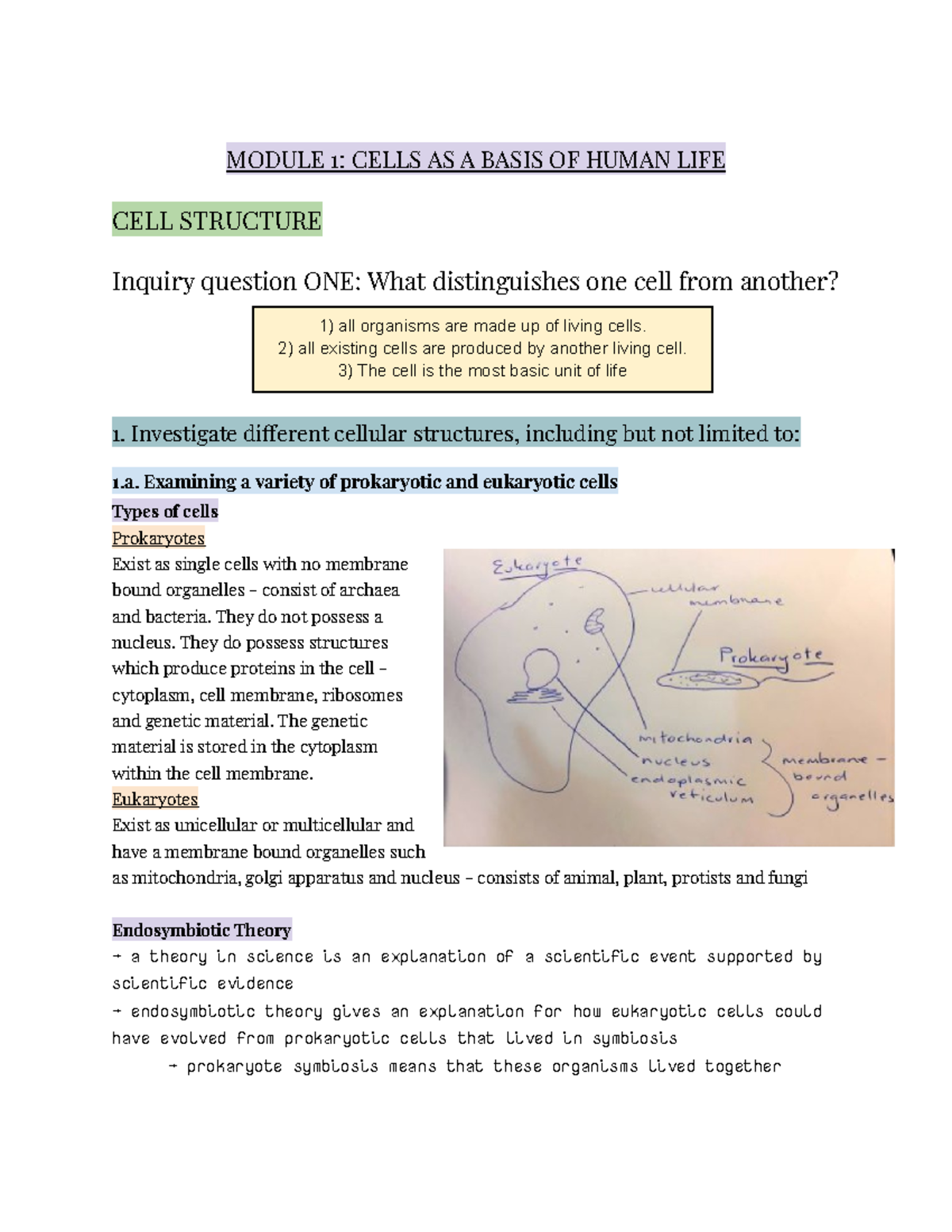Year 11 Biology Notes Module 1 - MODULE 1: CELLS AS A BASIS OF HUMAN ...