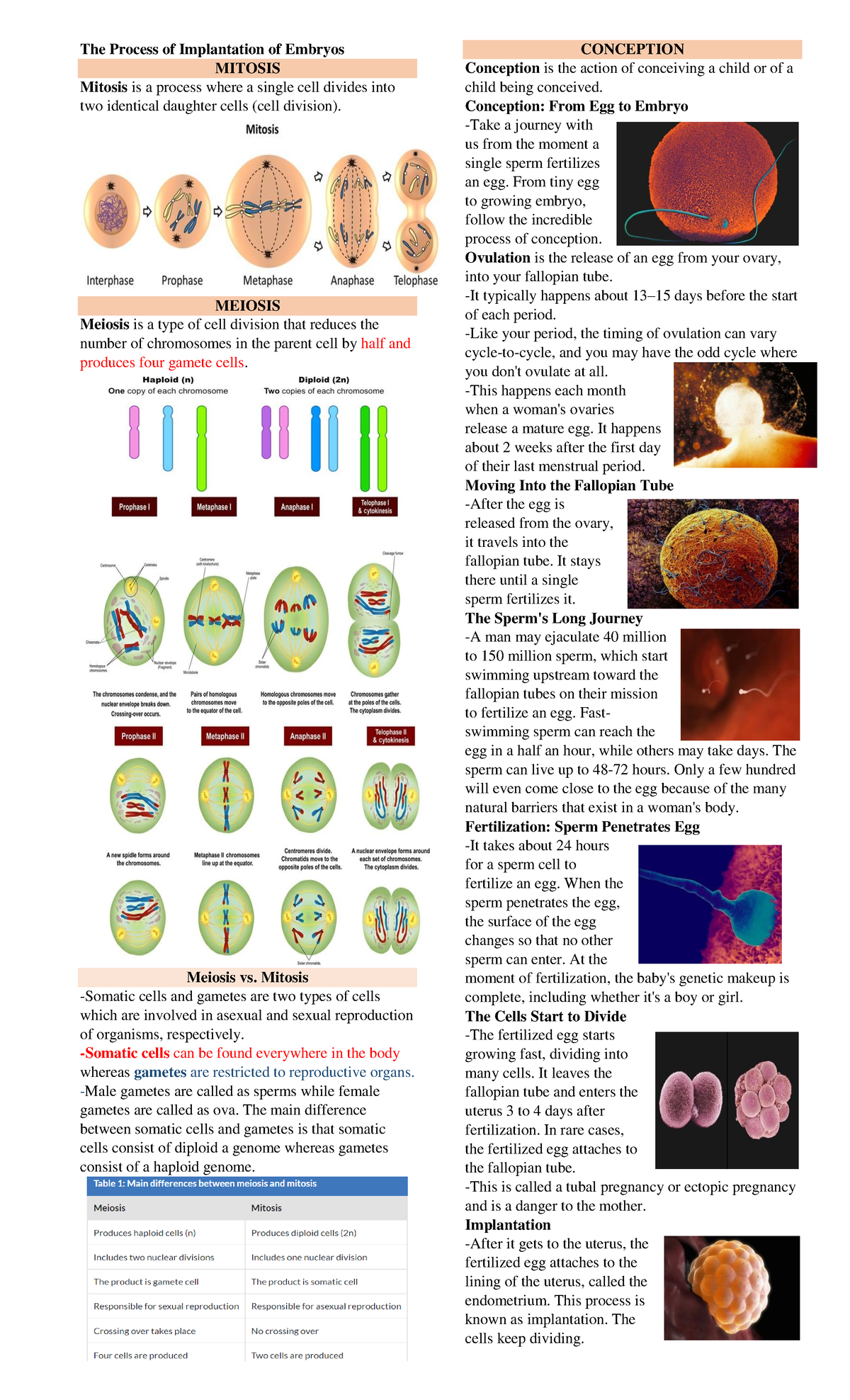 Biochem LEC-4 The-Process-of-Implantation-of-Embryos - The Process of ...