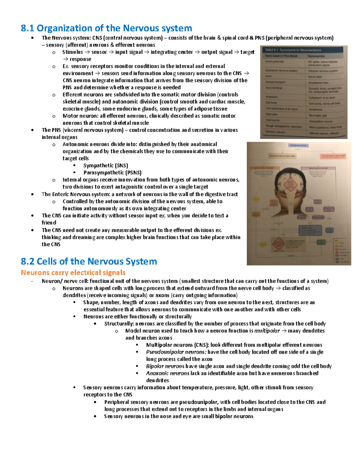 Wk 5 Nervous system - Readings from textbook - 8 Organization of the ...
