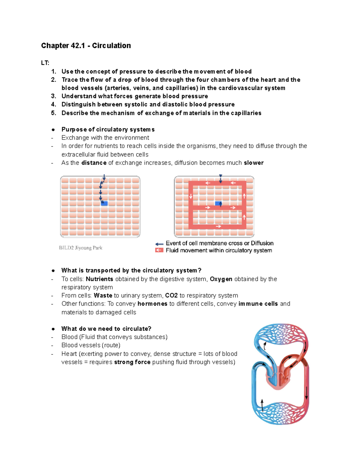 UCSD BILD 2 Notes - Chapter 42 - Circulation LT: Use the concept of ...