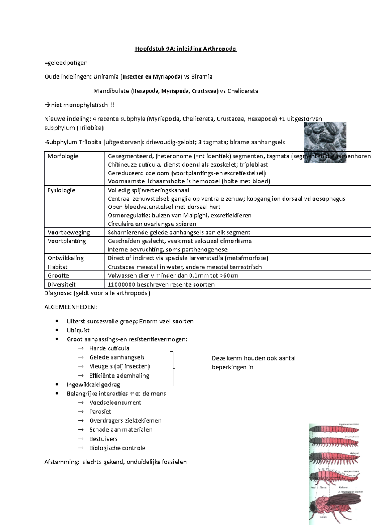 Bouwplannen dieren samenvatting hf 9 A inleiding Arthropoda - Hoofdstuk ...