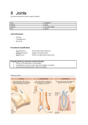 Acute Appendicitis Guideline - Anatomy for Pharmacology - Studocu