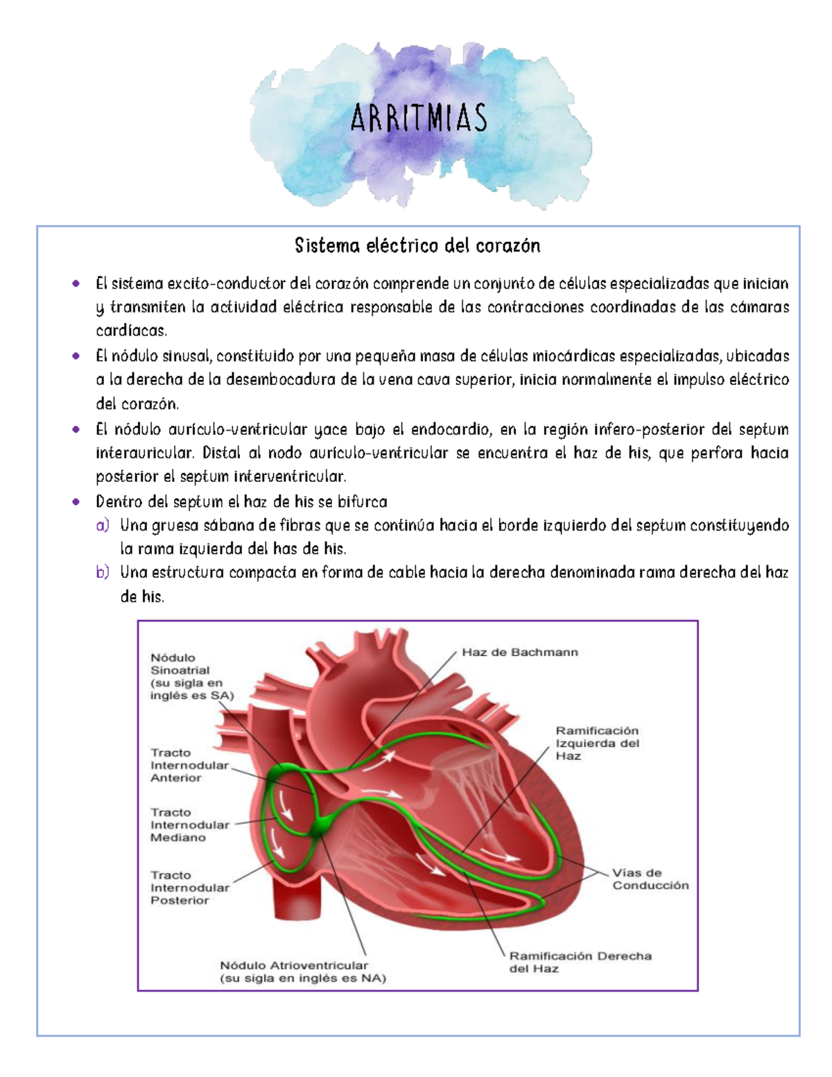 Arritmias - Arritmias Sistema eléctrico del corazón El sistema excito ...