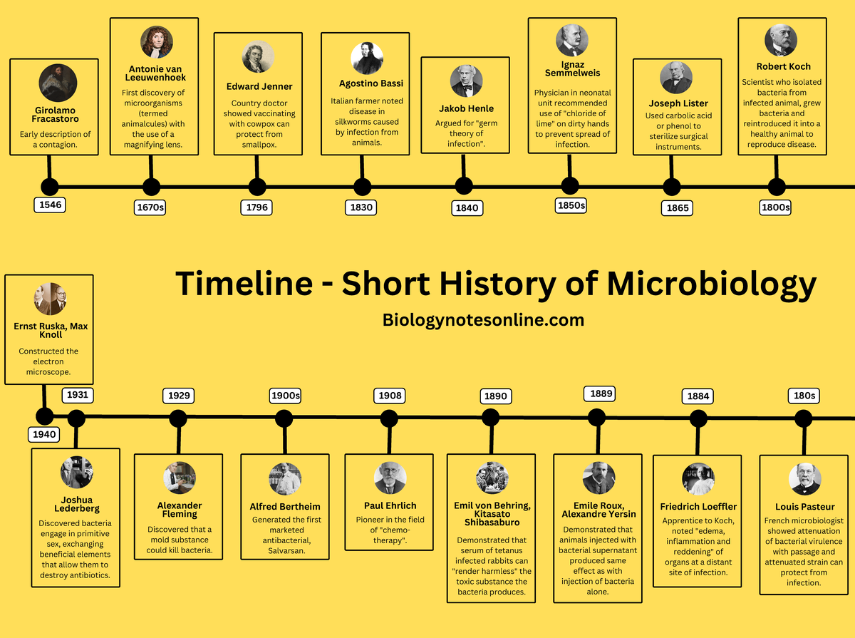 Timeline Short History of Microbiology - 1931 1546 Early description of ...