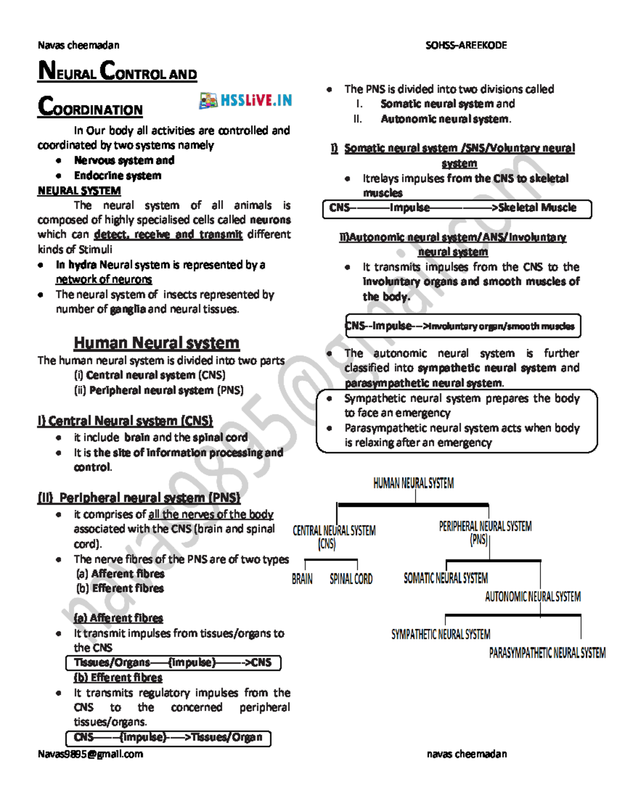 Nervous system - Notes - !"#$% & %"#! '## $%% '( !&(% ## ) *+ , - Studocu