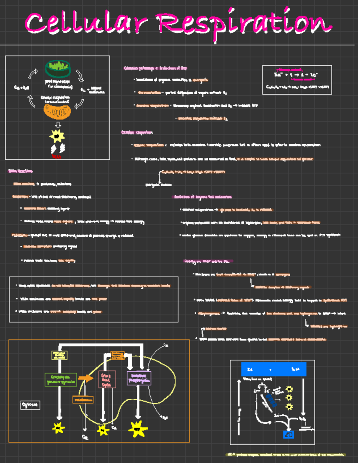 Bio 131 - LECTURE NOTES FOR CELLULAR RESPIRATION PART 1 - Cellular ...