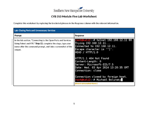 CYB 310-J8939-24EW4 Restructure Status Report-Michael Bolinsky ...