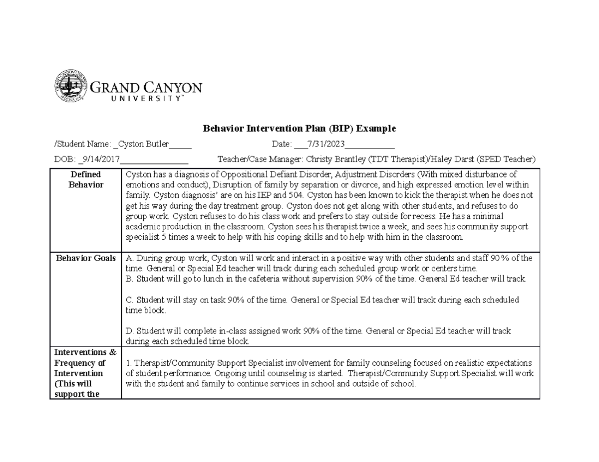 SPD 540 RS Behavior Intervention Plan Example - Behavior Intervention ...