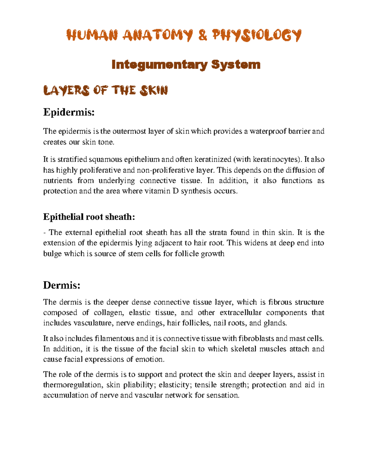 Anatomy and Physiology - Integumentary System (Layers of The Skin ...