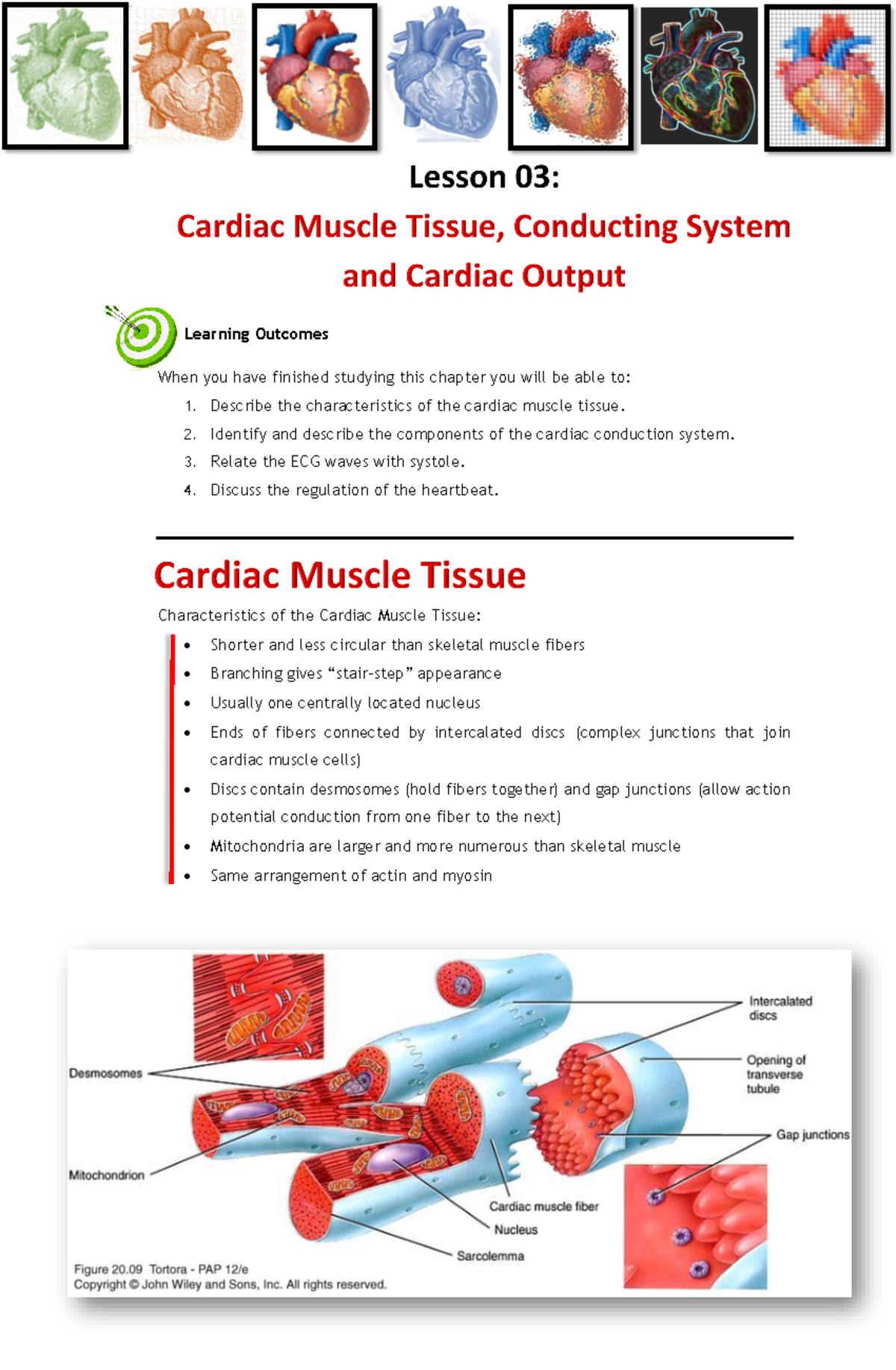NUMC 101B Module 2 Cardiovascular system - the Heart Lesson 03 ...
