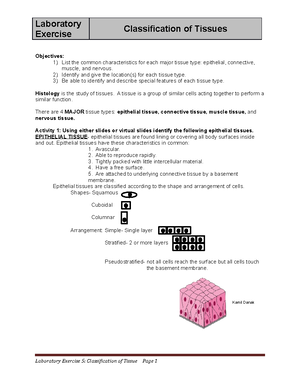 Biol 2401 Unit 2 The Cell Lab Packet 2023 - Cytology Pre-Lab: Cell ...