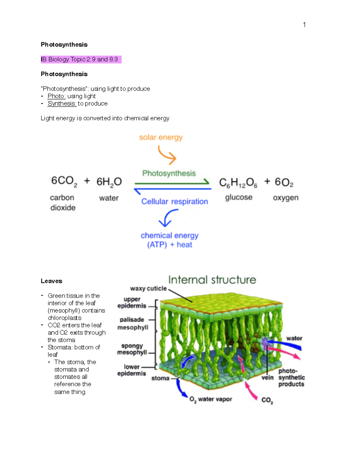 IB BIO Topic 2.9 and 8 - Photosynthesis IB Biology Topic 2 and 8 ...