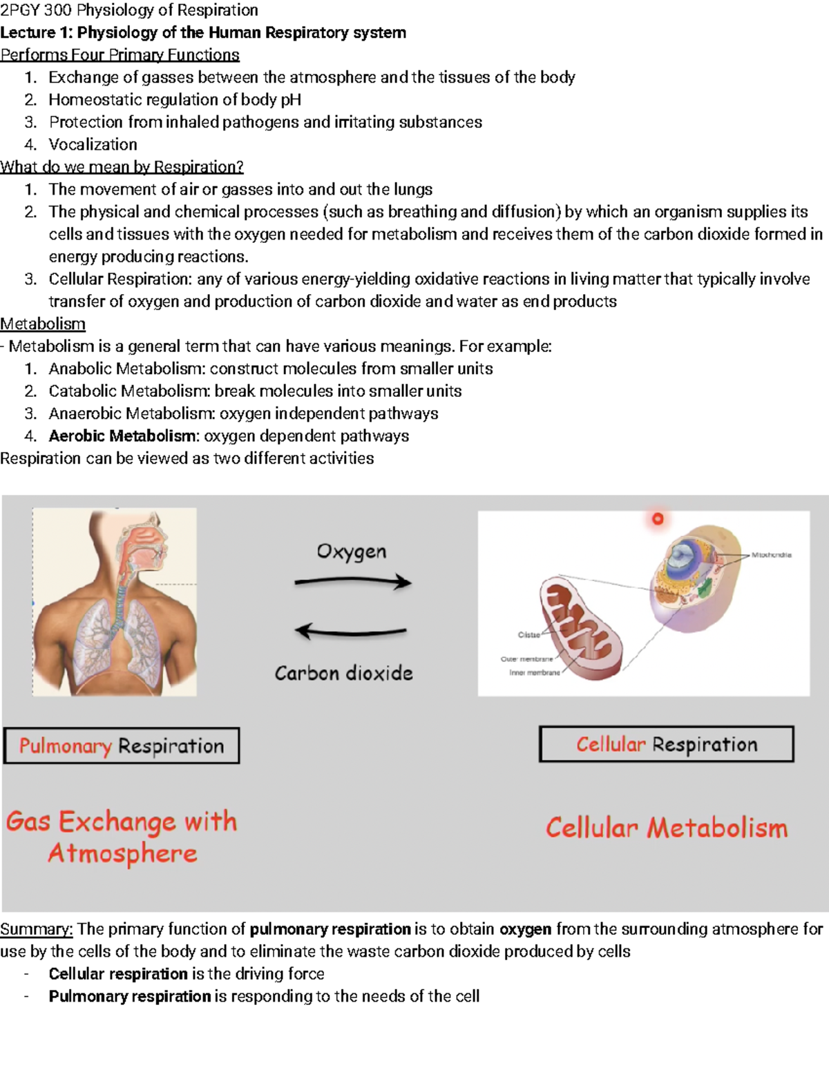 Physiology of Respiration Lecture - Studocu