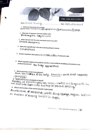Gen bio lab 3 - Lab - LABORATORY 3 QUESTIONS Name: Diana TRuong Date ...
